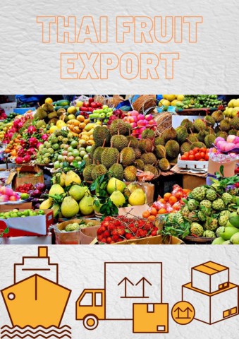 นิว fruit export