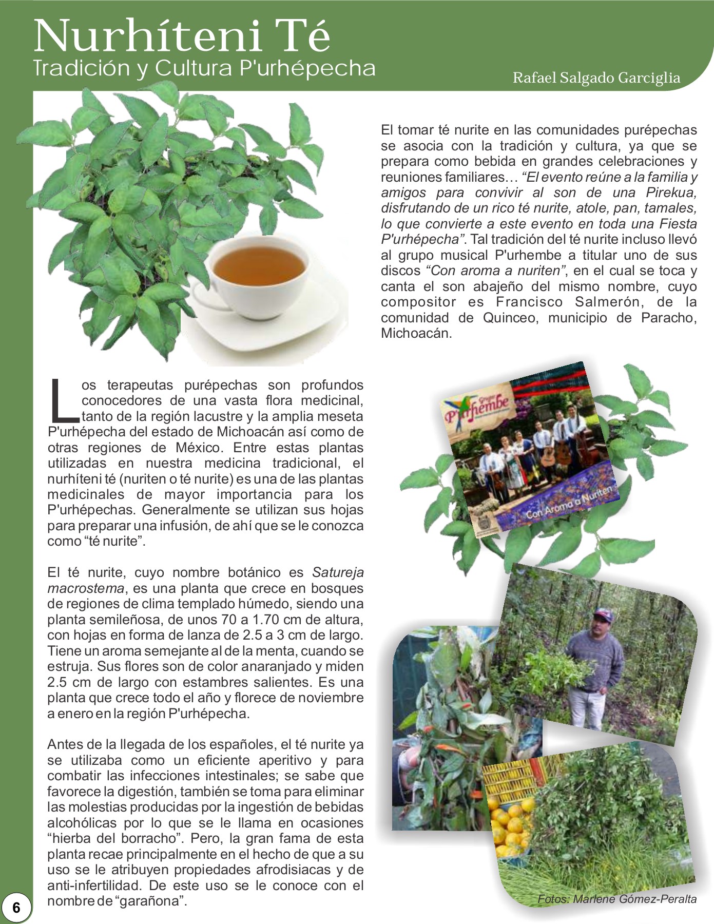 No_2 saber mas - jesicajoseonline - Página 6 | Flip PDF en línea | PubHTML5