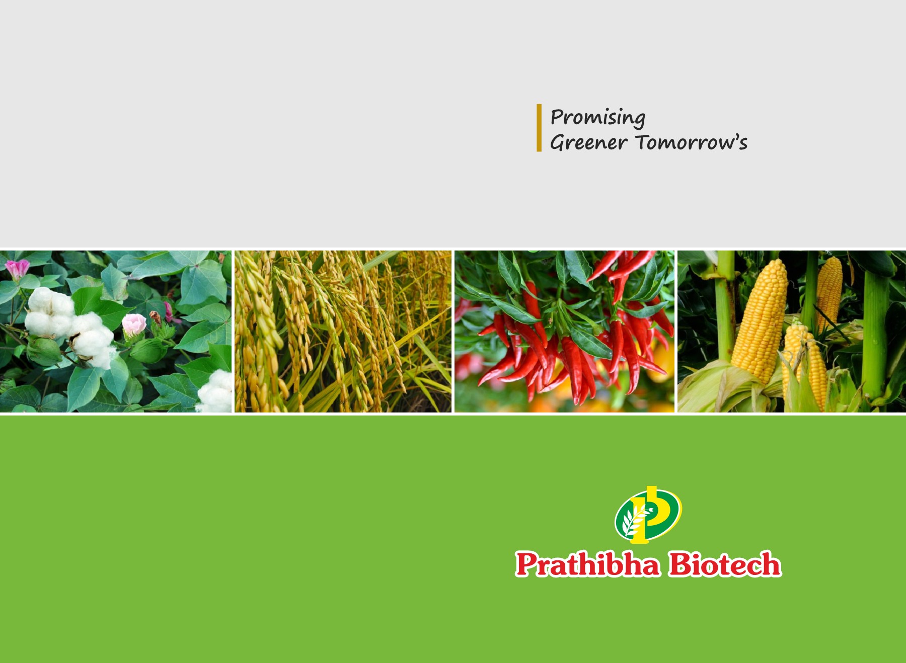 Prathibha Product_Brochure_11x8 2 C - SUVARCHALA COMMERCIAL DESIGNERS ...