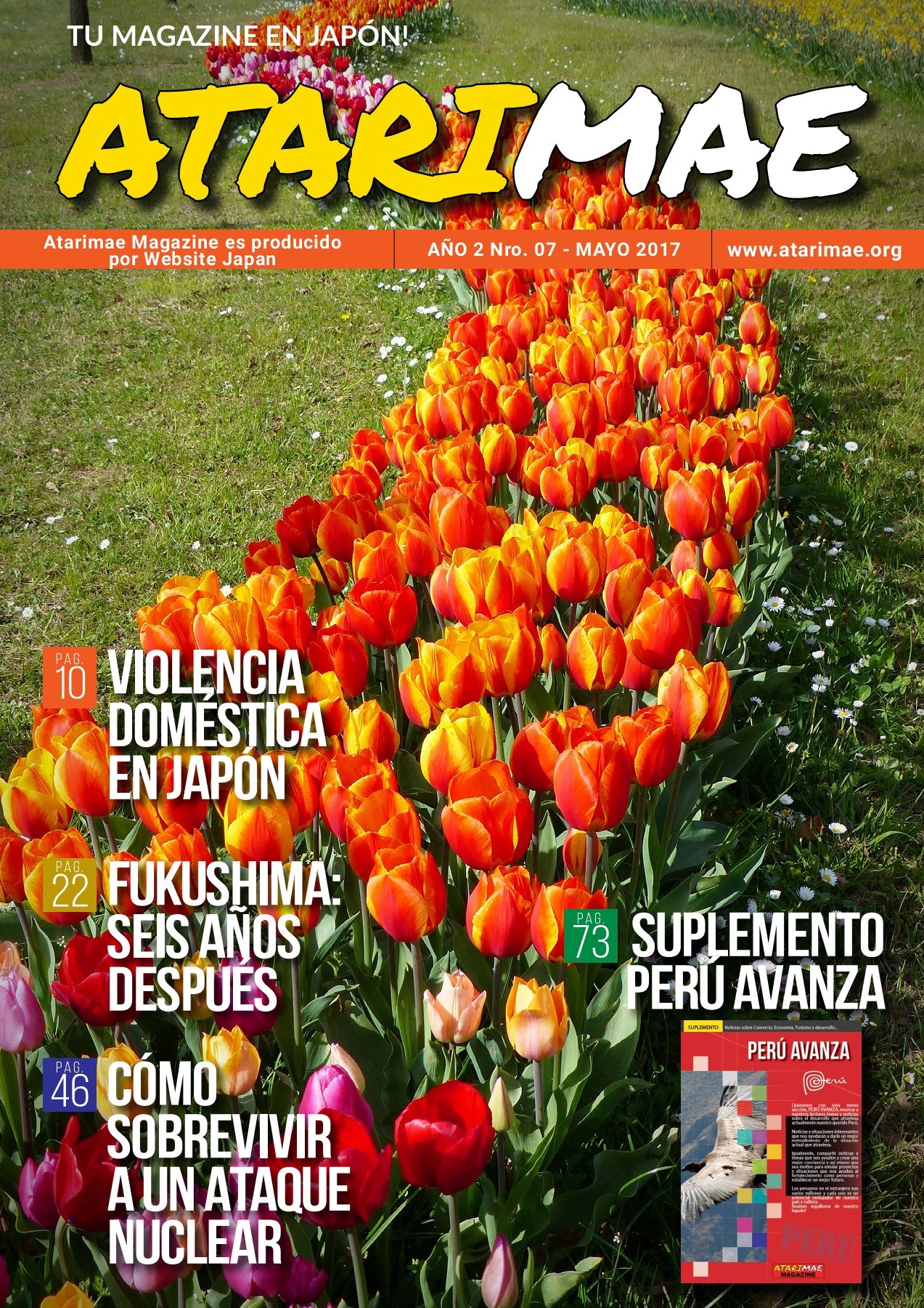 Atarimae Magazine - Mayo 2017 - mcansaya - Página 1 | Flip PDF en línea ...