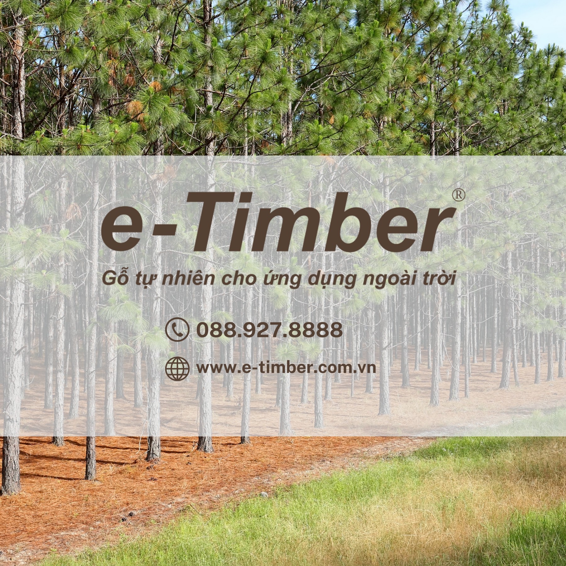 CATALOGUE e-TIMBER - Sương Nguyễn - Page 1 - 36 | Flip PDF Online ...