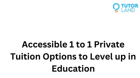 Accessible 1 to 1 Private Tuition Options to Level up in Education