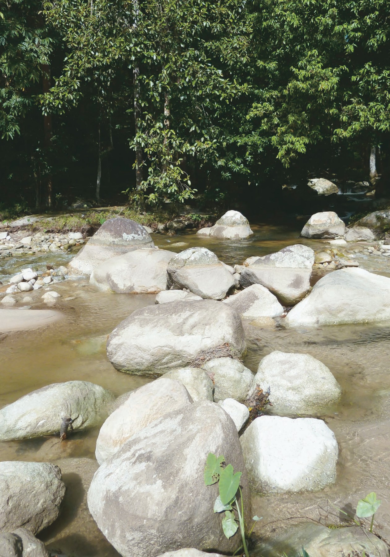 006-ผีเสื้อกลางคืนในหุบเขาลำพญา (1) - Jirawat Wongphakdi - Page 126 | Flip PDF Online | PubHTML5