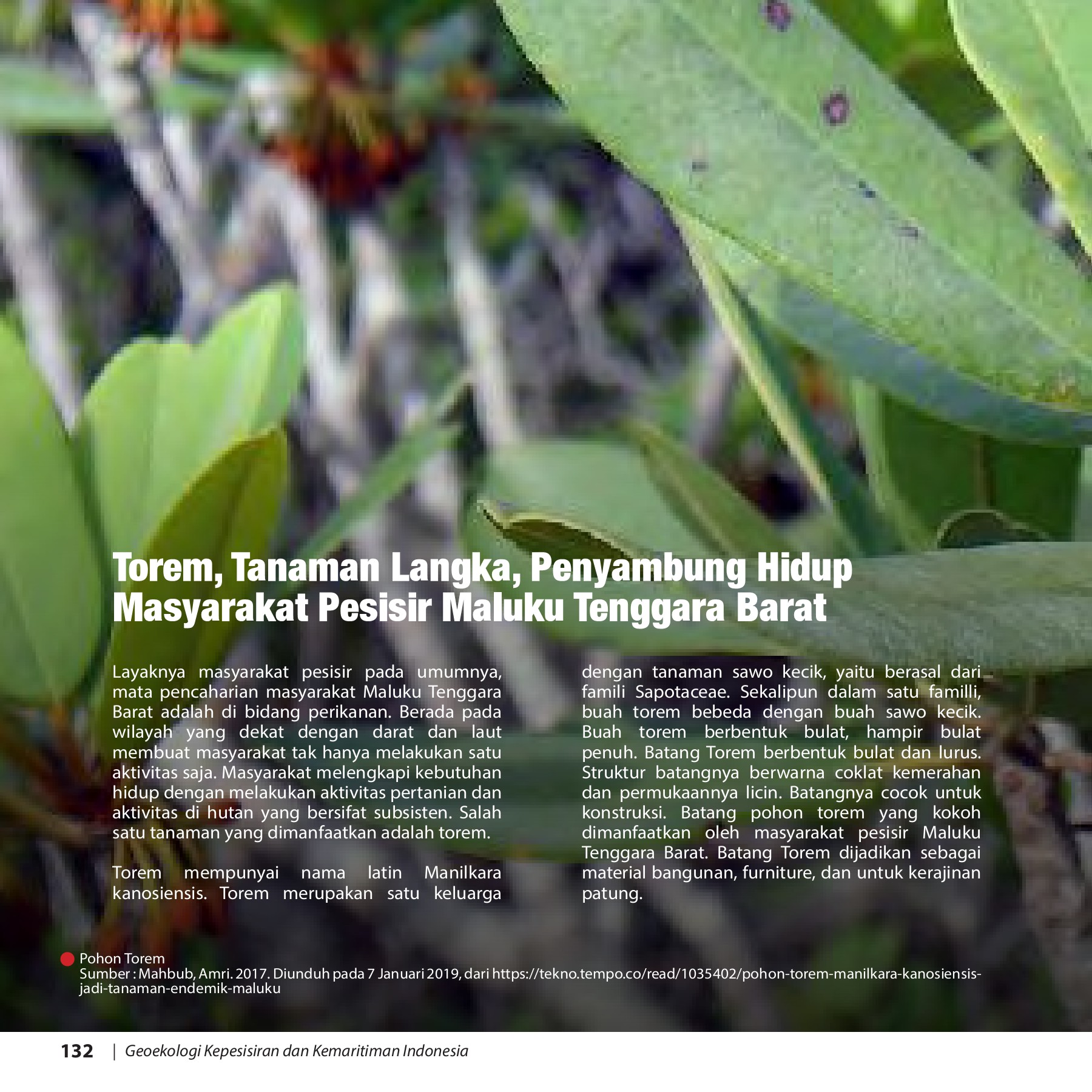 Geoekologi Kepesisiran dan Kemaritiman Indonesia - Parangtritis ...