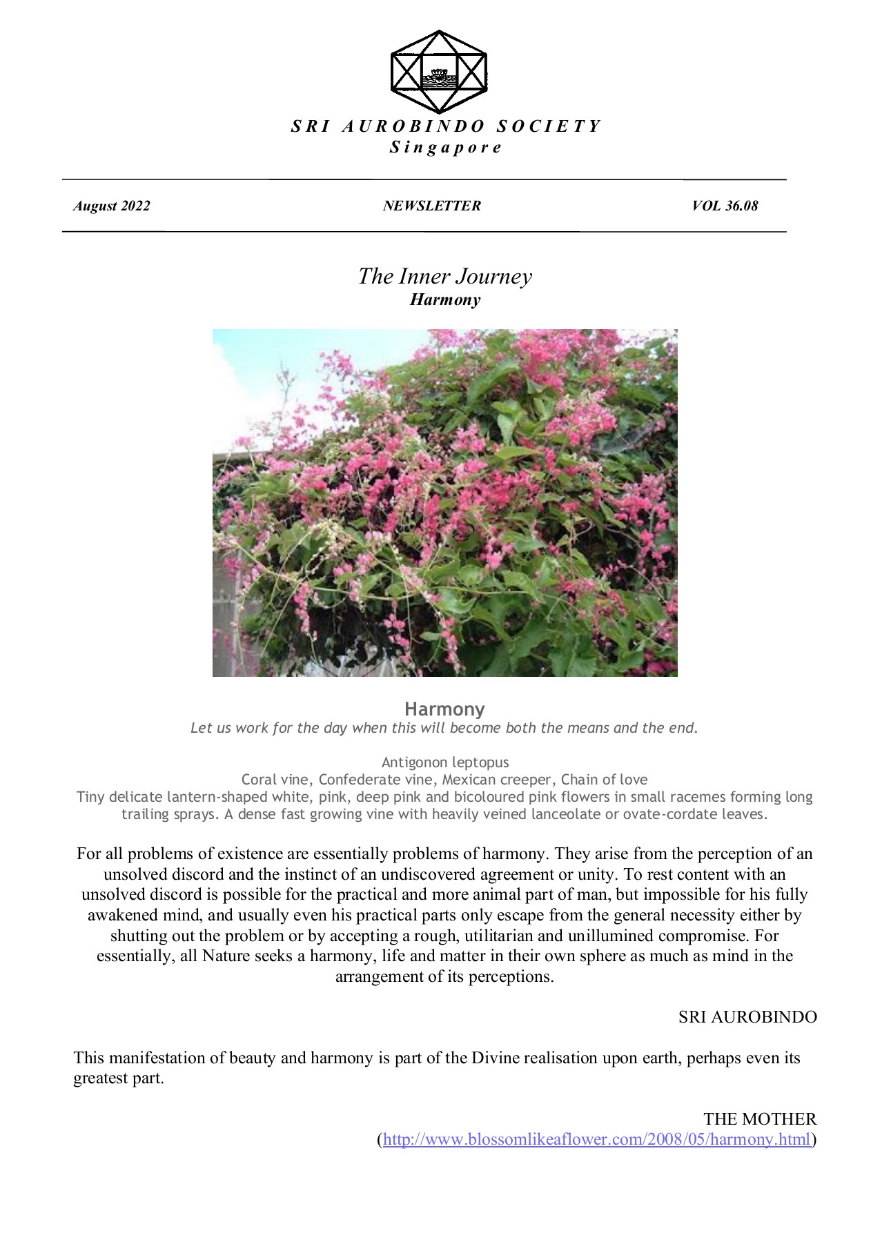 Aug 2022 Newsletter - meenakshilovestalking - Page 1 - 12 | Flip PDF Online | PubHTML5