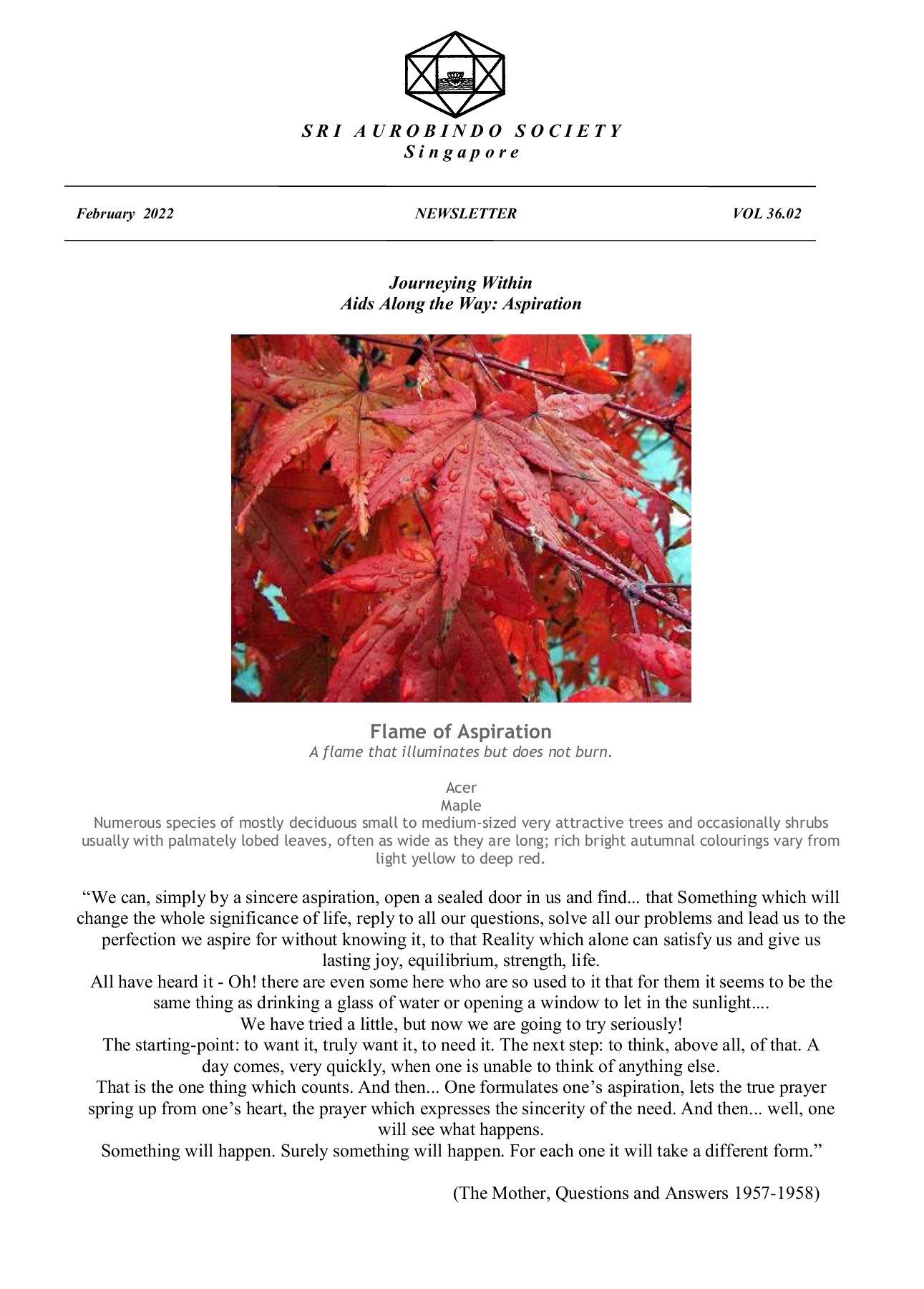 February 2022 Newsletter - meenakshilovestalking - Page 1 - 13 | Flip PDF Online | PubHTML5