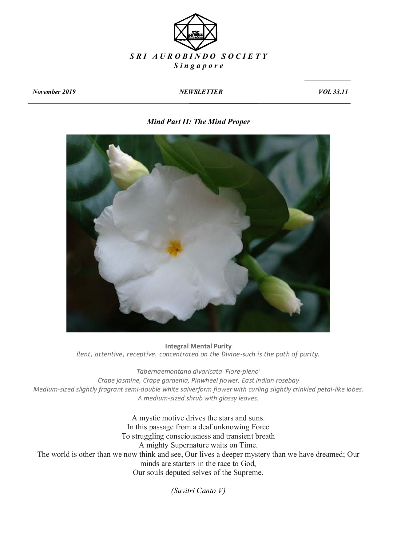 Nov 2019 Newsletter - meenakshilovestalking - Page 1 - 11 | Flip PDF Online | PubHTML5