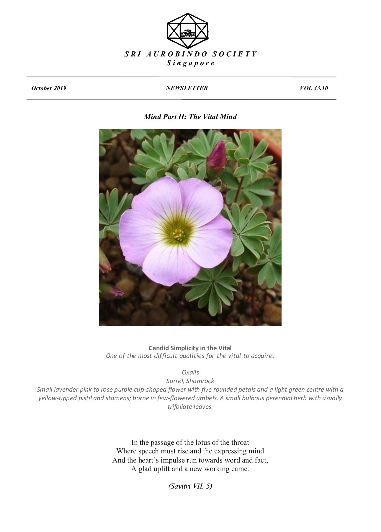 Oct 2019 Newsletter - meenakshilovestalking - Page 1 - 15 | Flip PDF Online | PubHTML5