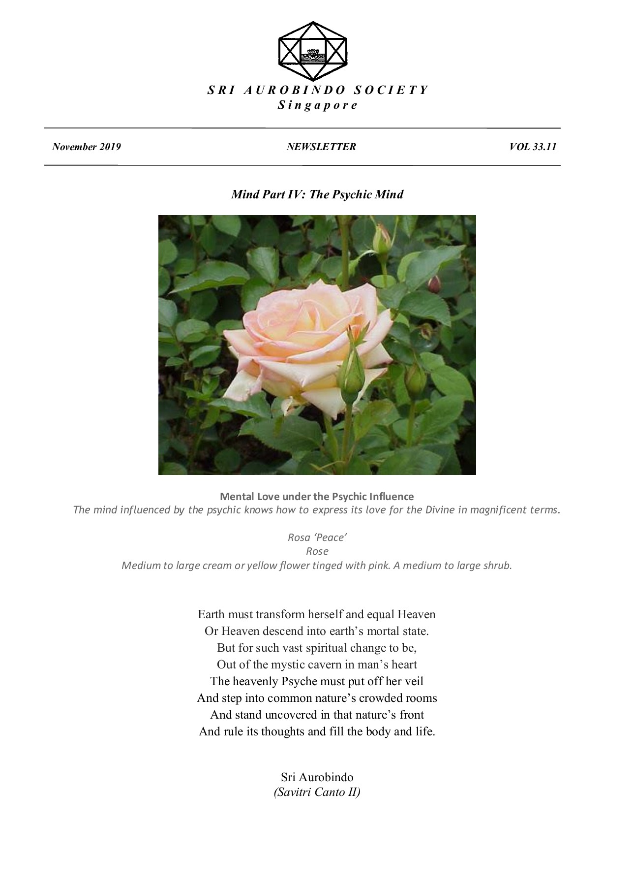 Dec 2019 Newsletter - meenakshilovestalking - Page 1 - 9 | Flip PDF Online | PubHTML5