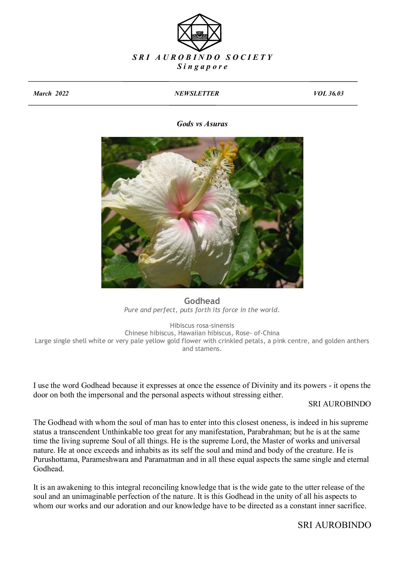 March 2022 Newsletter - meenakshilovestalking - Page 1 - 13 | Flip PDF Online | PubHTML5