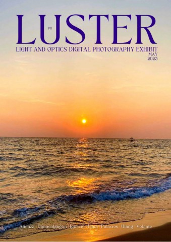 Luster Light and Optics Digital Photography Exhibit (1)