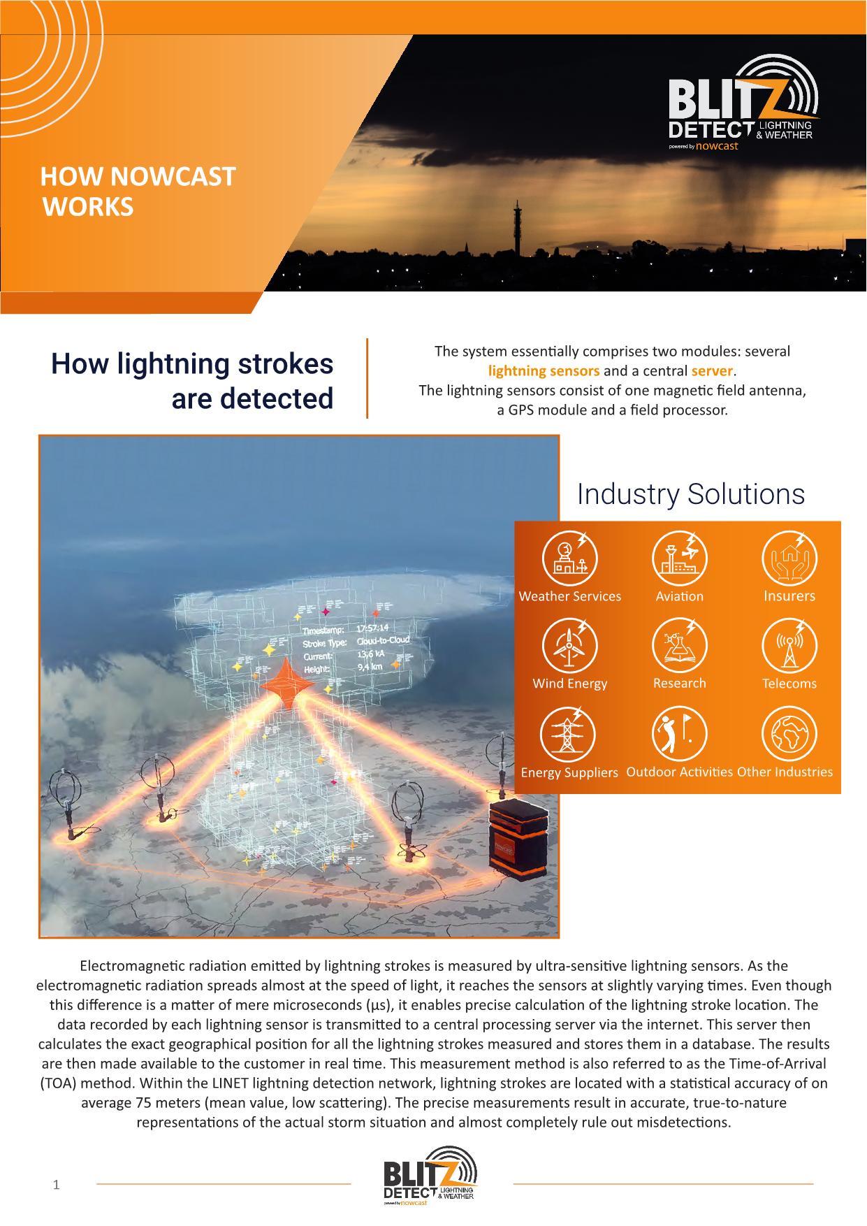 Blitz Detect Brochure-2021 - trevor - Page 3 | Flip PDF Online | PubHTML5