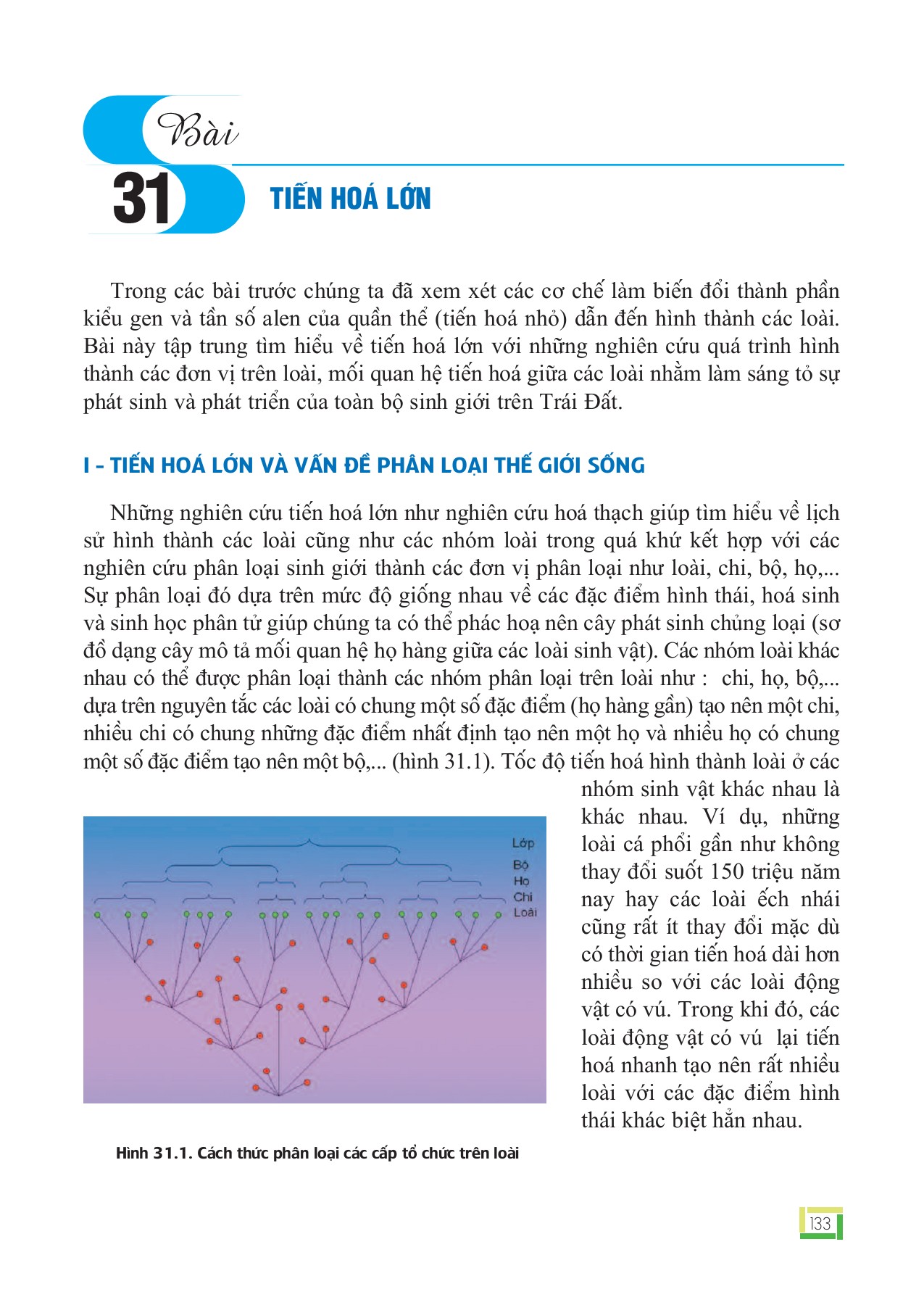 Sinh học 12 - Thầy Sơn ICT - Trang 134 | PDF lật trang trực tuyến ...