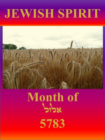 JEWISH SPIRIT ELUL 5783 - Liat Pittaway - Page 1 - 13 | Flip PDF Online ...