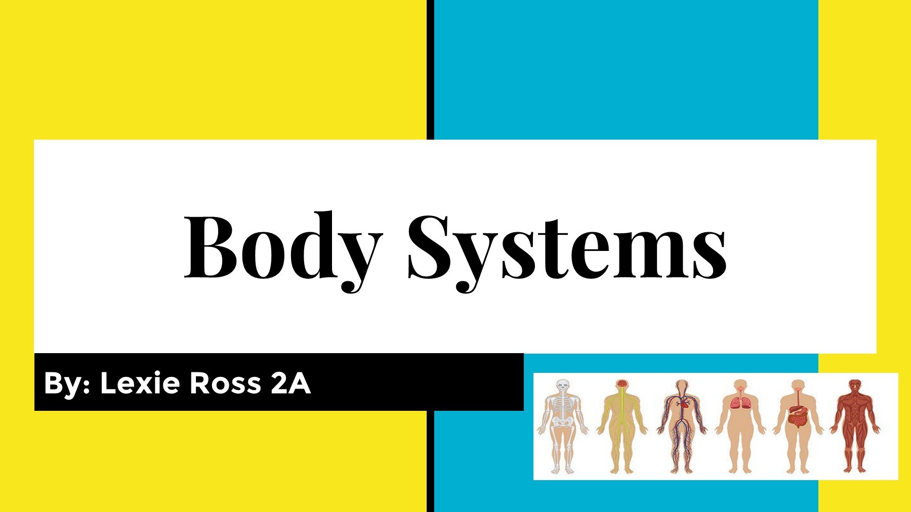 Body Systems Notes (1) - alexis.ross.006 - Page 1 - 71 | Flip PDF ...