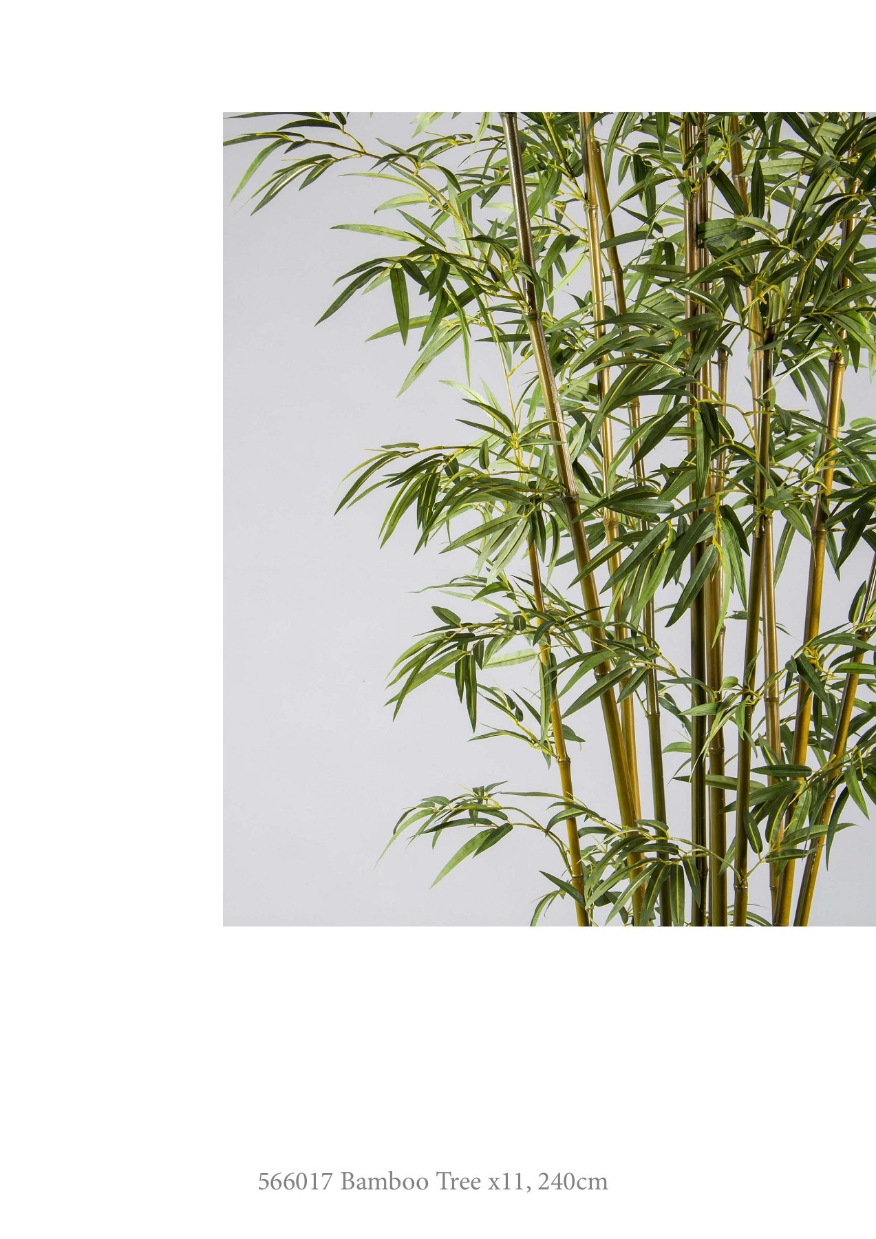 Materflora Trees Catalog - materflora - Page 101 | Flip PDF Online ...