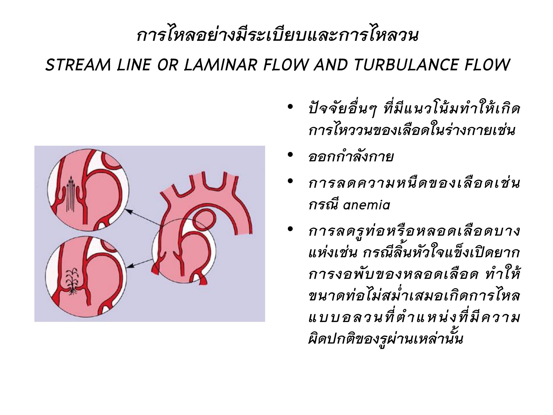 Physiology of Blood Circulation - nittaya srisuk - หน้าหนังสือ 24 ...