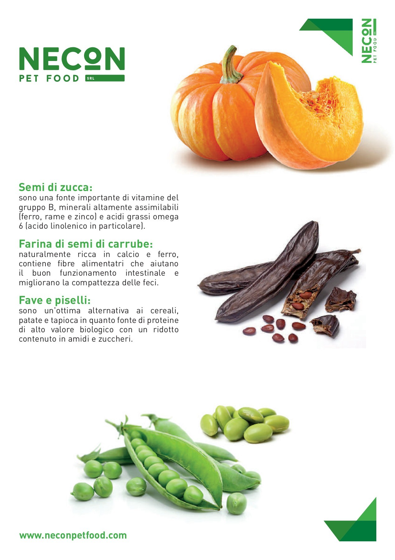 catalogo-necon - andrea.rizzini - Pagina 5 | PDF in linea | PubHTML5