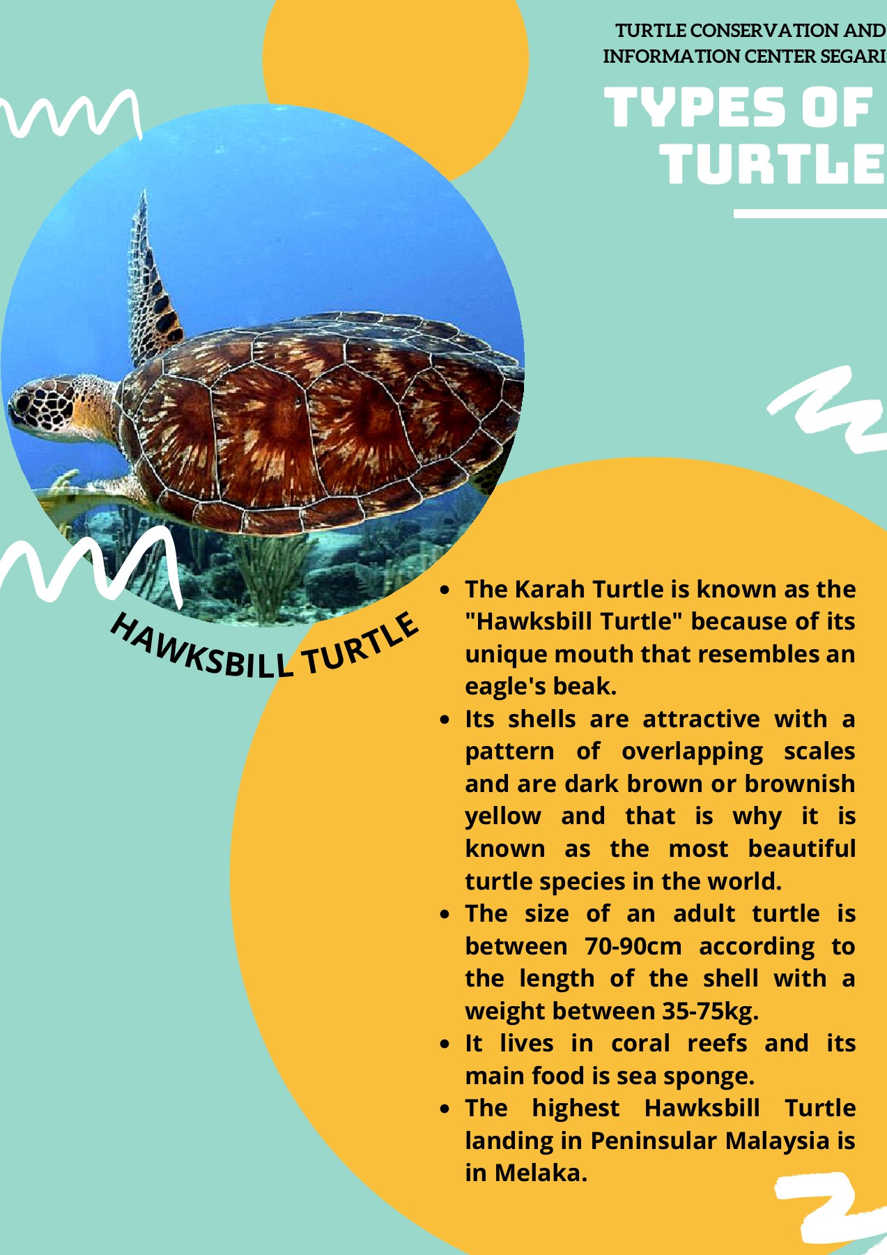 FLIPBOOK PUSAT KONSERVASI DAN PENERANGAN PENYU SEGARI - nur afiqah ...