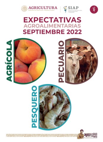 Expectativas _Septiembre_2022