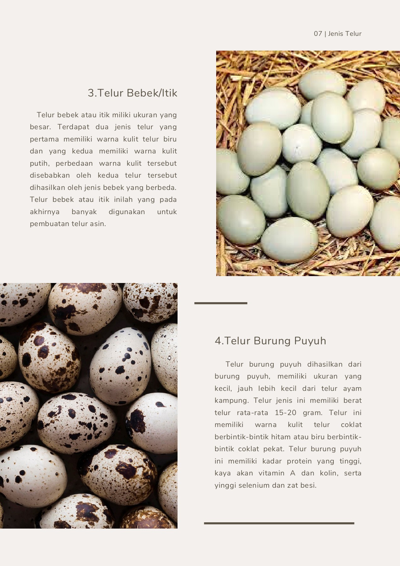 Teknologi Pengolahan Dan Hasil Produksi Telur - Nadindra Shiva Azzukhruf - Halaman 9 | PDF ...