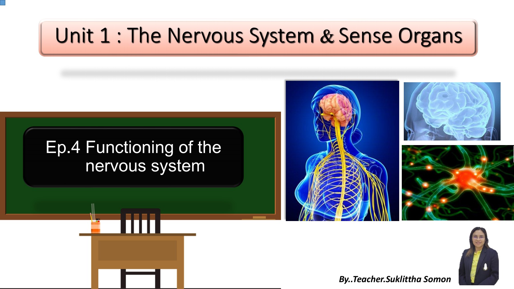 Instructional media (ppt) Nervous system and Sense organ - suklittha24 ...