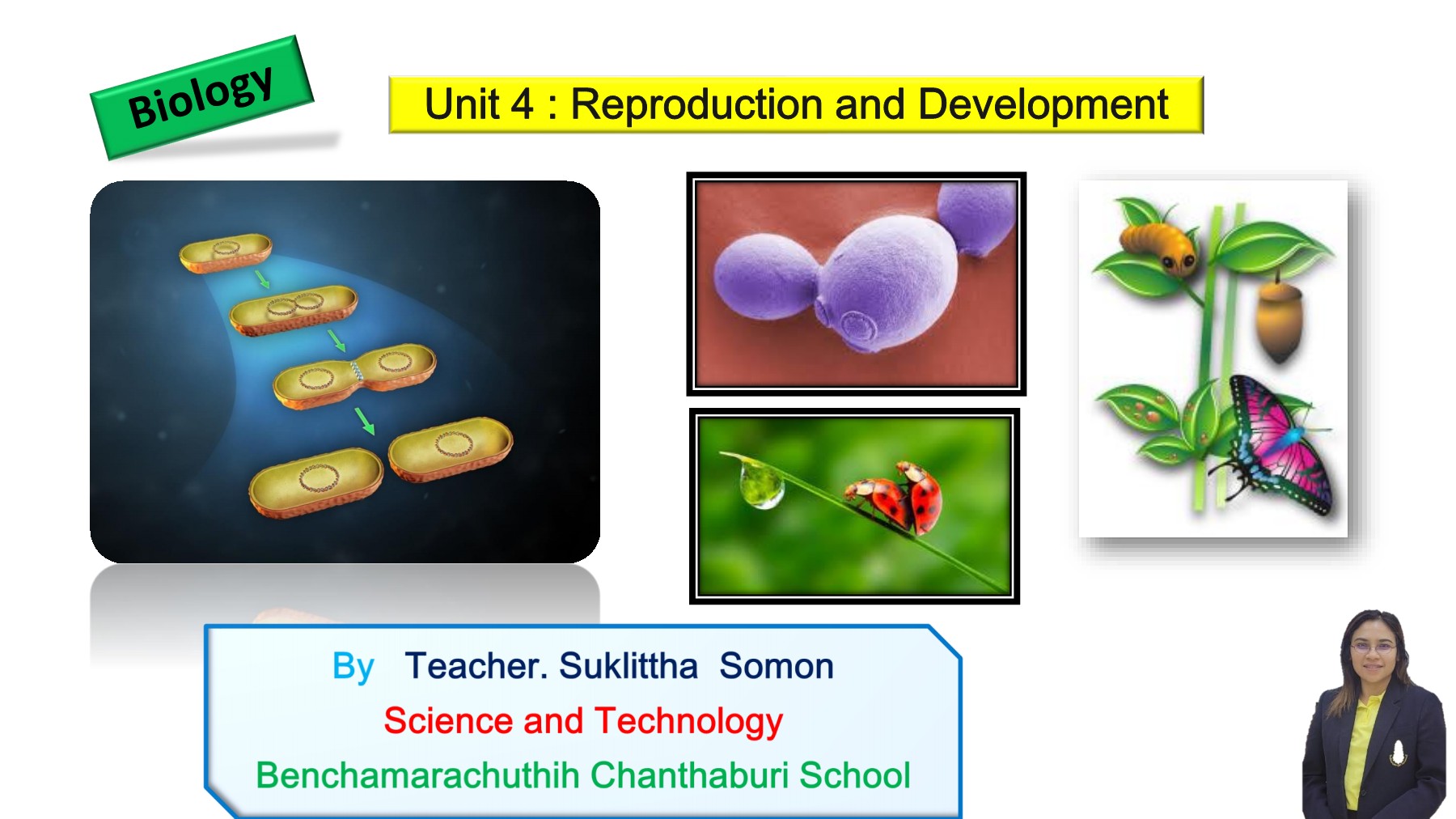 Instructional media (ppt) Reproduction and Development - suklittha24 ...