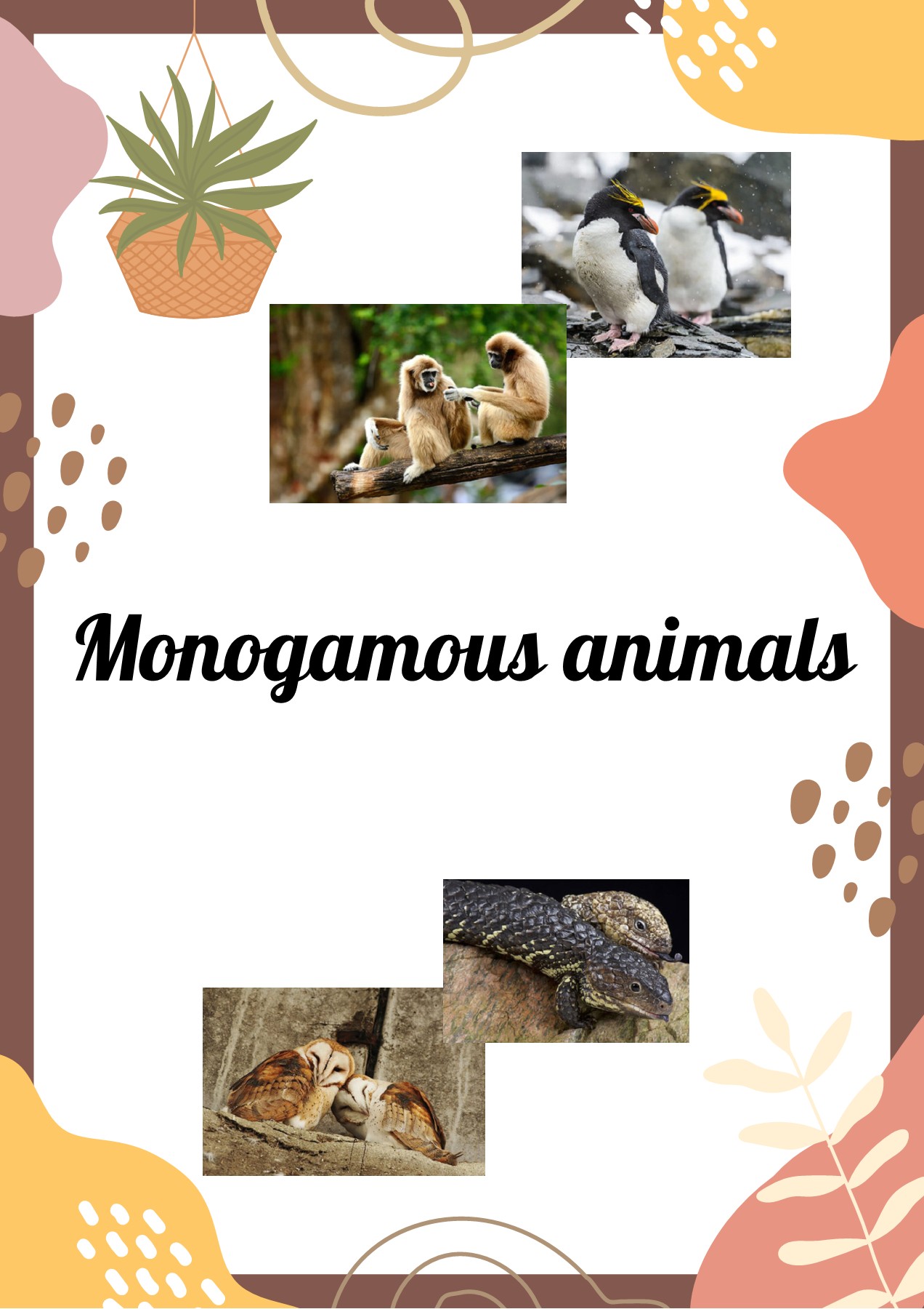 Monogamous animals - tharatorn6900 - หน้าหนังสือ 1 - 10 | พลิก PDF ...