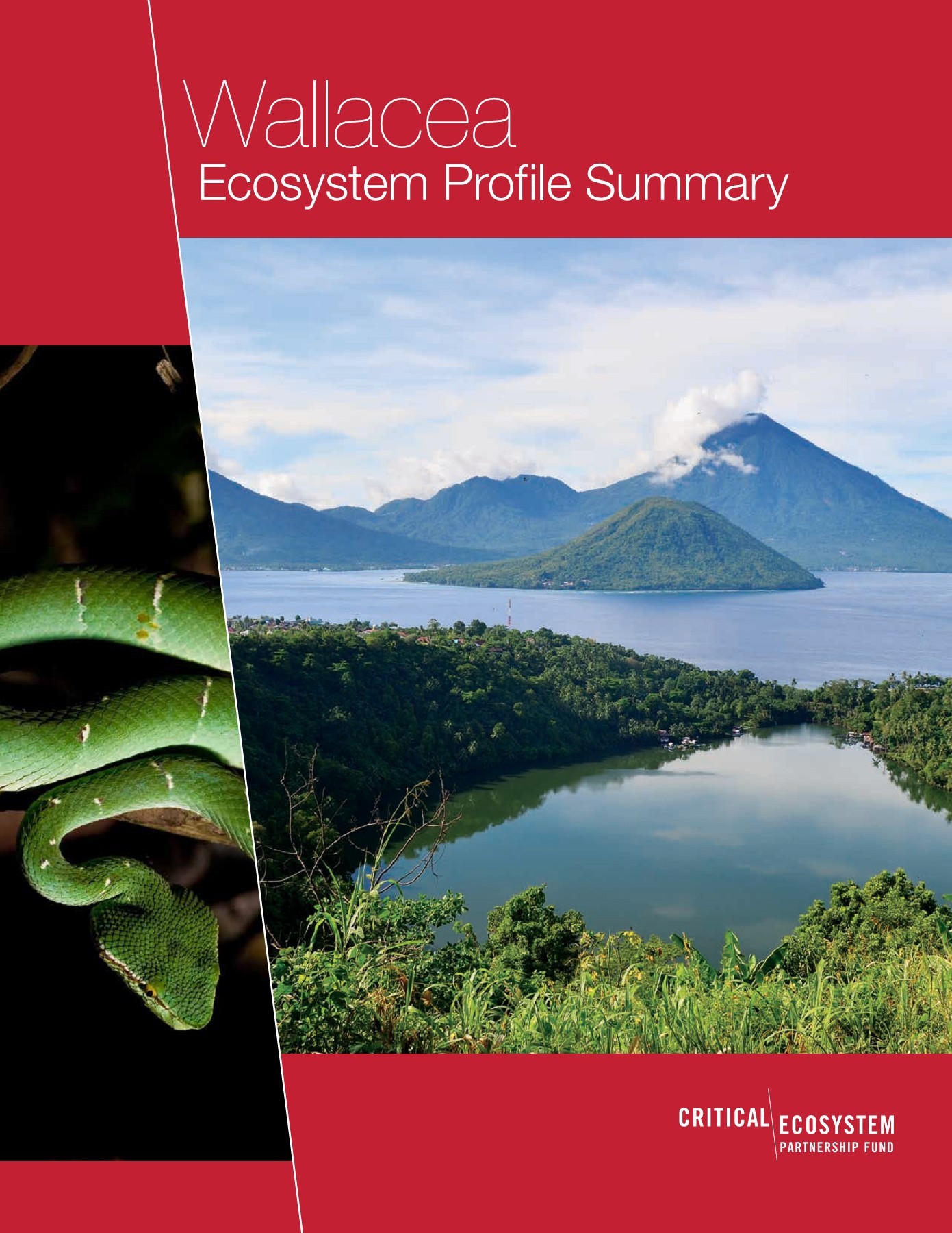 CEPF Wallacea Summary Brochure - mhozempa - Page 1 - 20 | Flip PDF ...