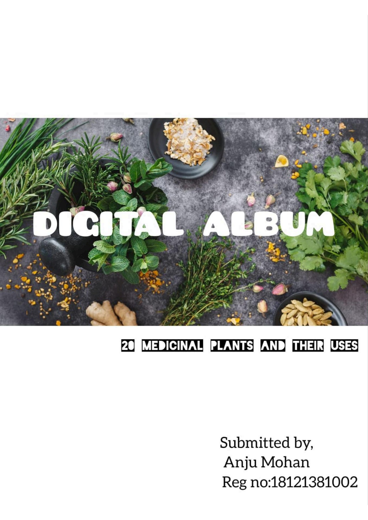 DIGITAL ALBUM - - Page 1 - 21 | Flip PDF Online | PubHTML5