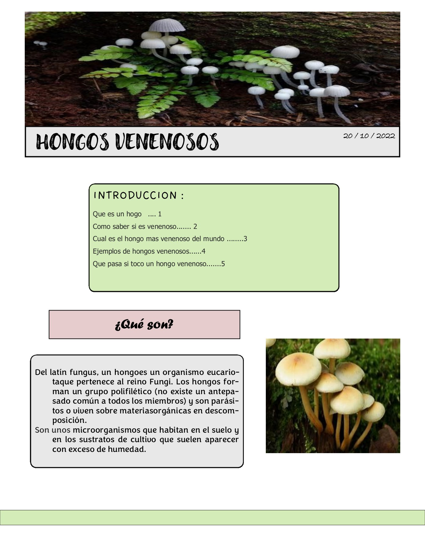 hongos venenosos - ramirez.vivanco.catalina - Página 1 - 4 | Flip PDF en línea | PubHTML5