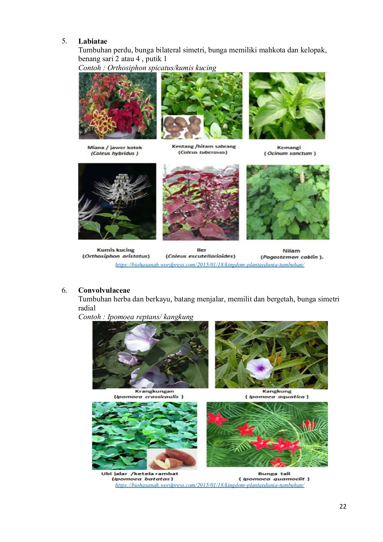 E-Modul _ Plantae - Yolanda Gysberthus - Halaman 22 | PDF Online | PubHTML5