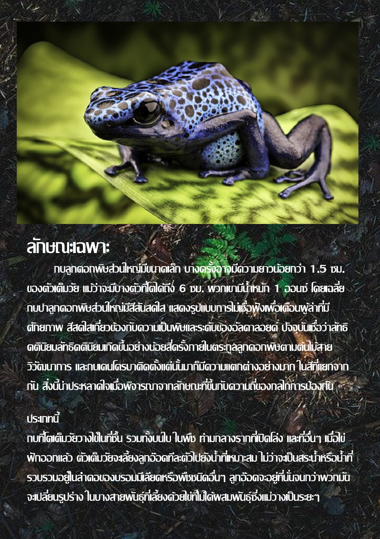 The Poison Dart Frog - tonkal47.ns - Page 4 | Flip PDF Online | PubHTML5