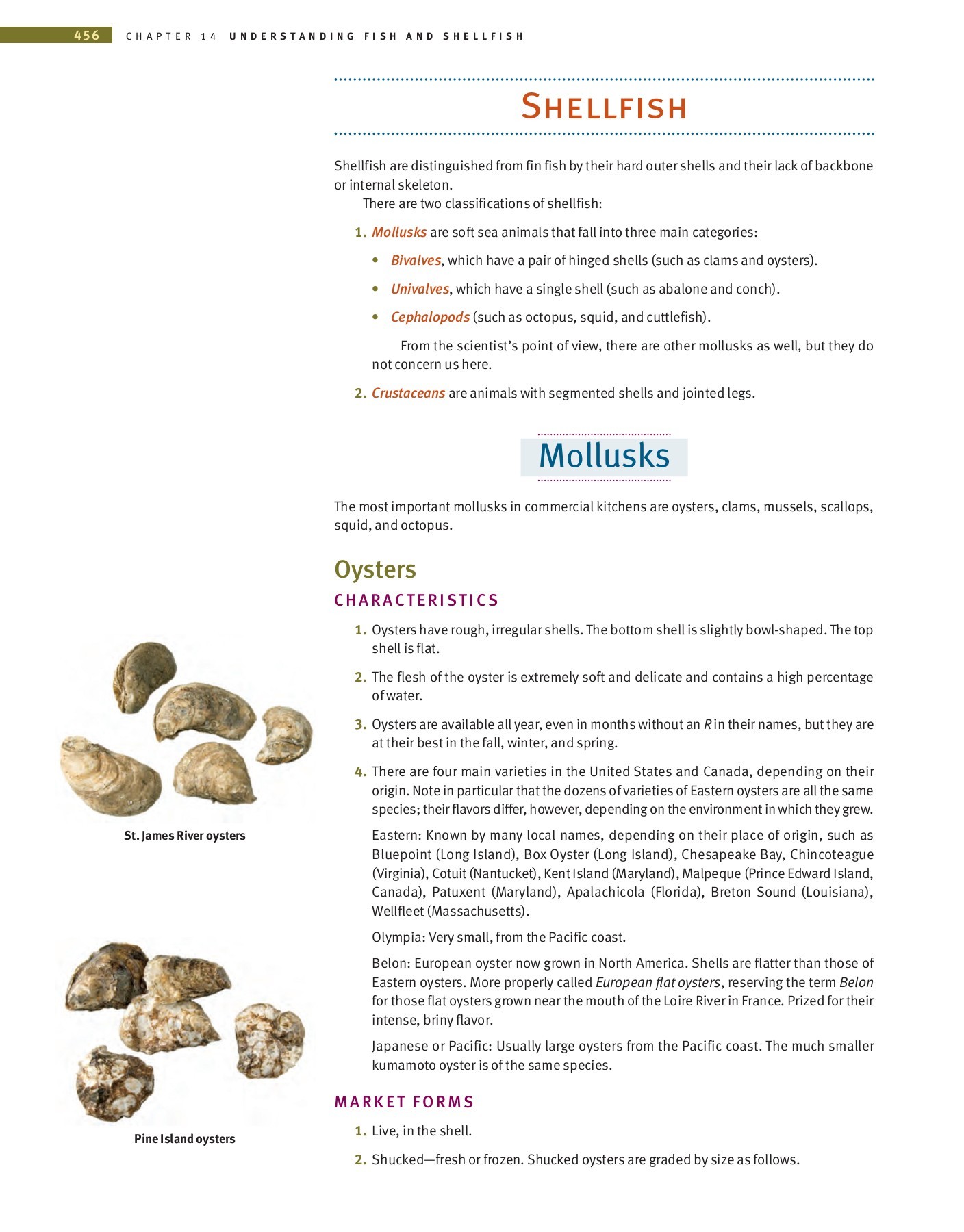 Shellfish - dth1032tof - Page 1 - 14 | Flip PDF Online | PubHTML5