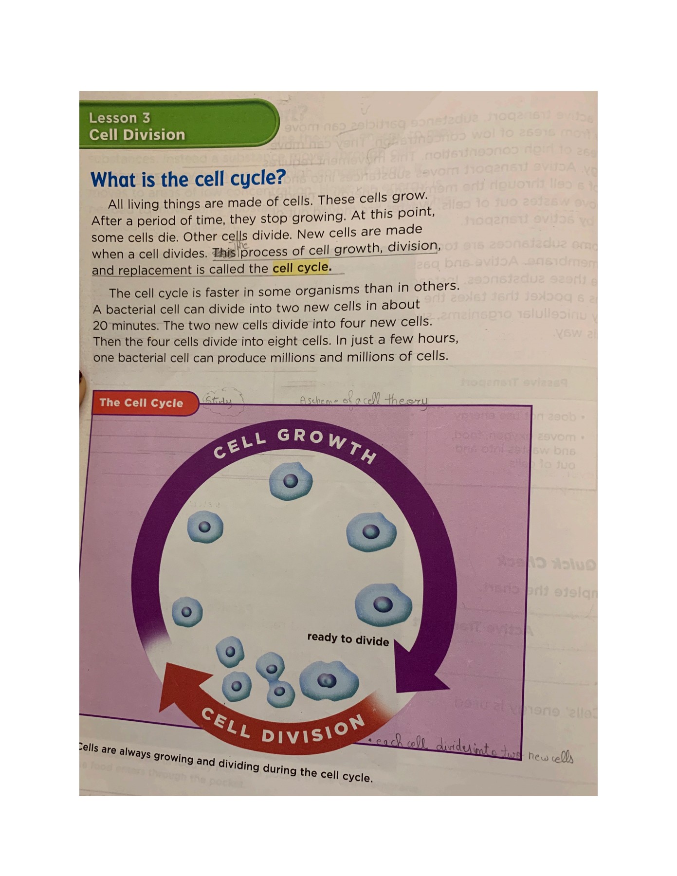 Cell Division Lesson - Raafat Hamzeh - Page 1 - 6 | Flip PDF Online ...