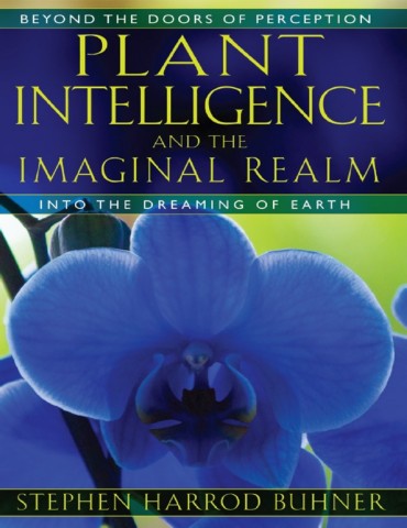 Plant Intelligence and the Imaginal Realm_ Beyond the Doors of ...