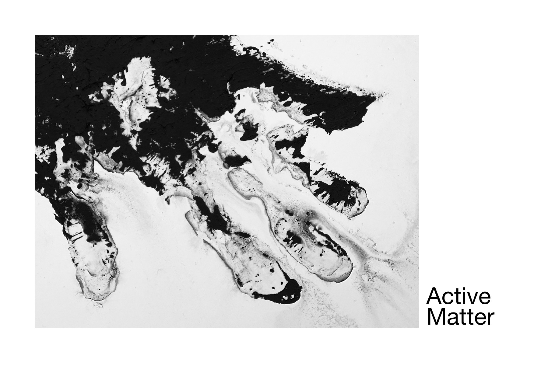 Active Matter - steviecussons - Page 1 - 27 | Flip PDF Online | PubHTML5