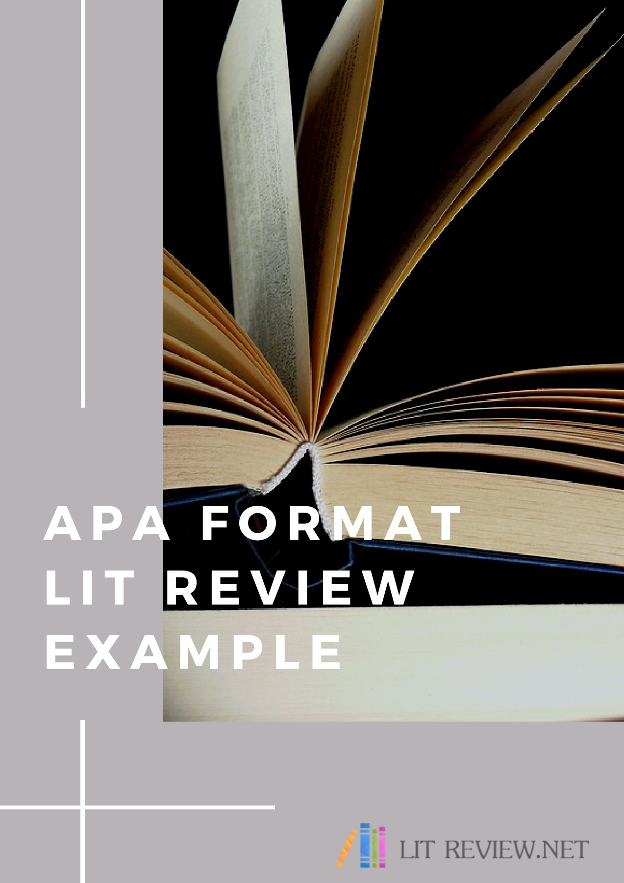 APA Format Lit Review Example - Lit Review - Page 1 - 6 | Flip PDF ...