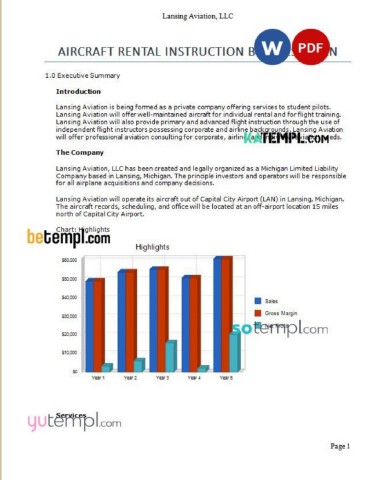 aircraft rental instruction business plan template in Word and PDF formats