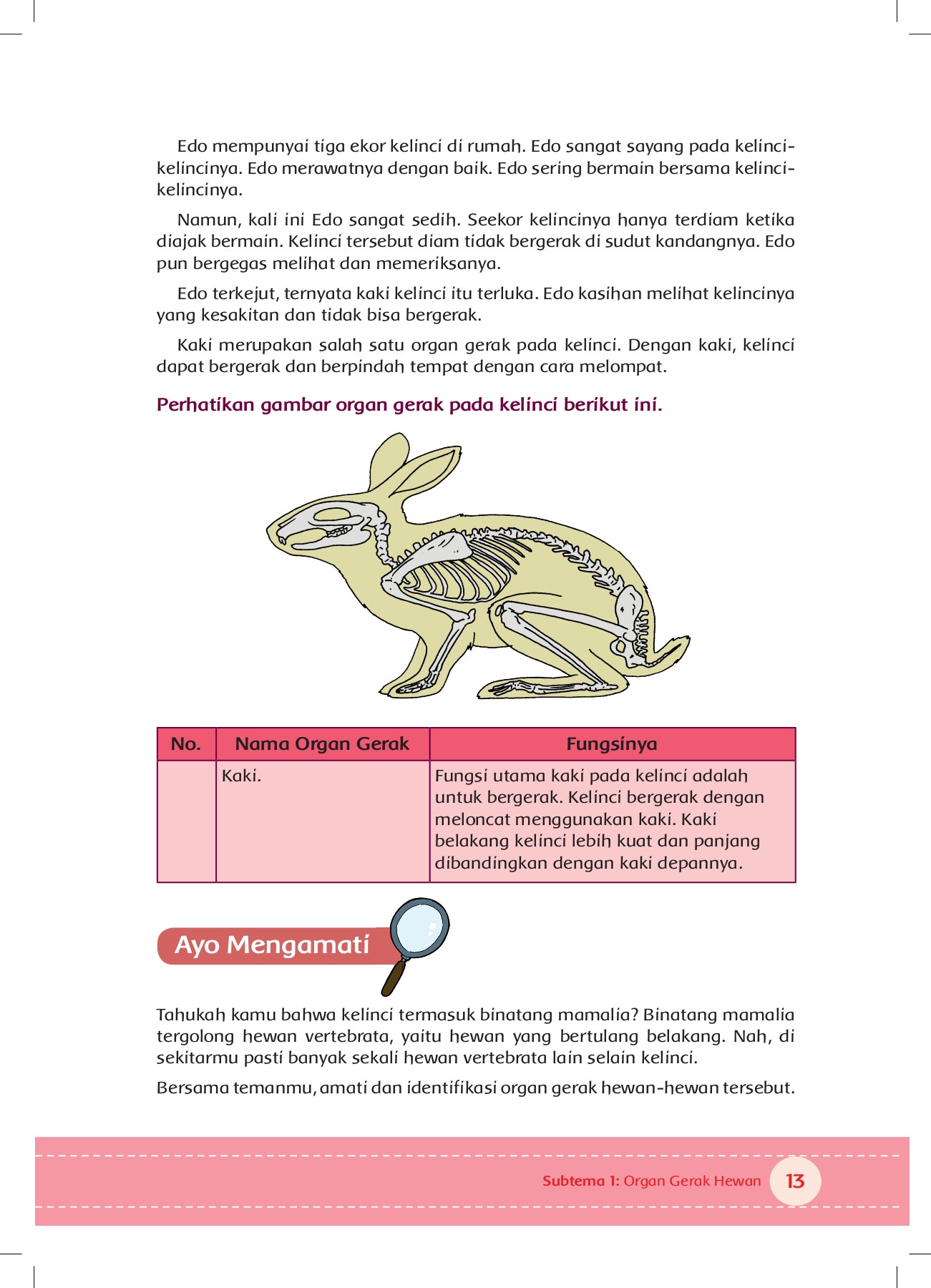 Kelas V Tema 1 Buku Siswa Organ Gerak Hewan dan Manusia - SD Negeri Tanjunganom - Halaman 19 ...