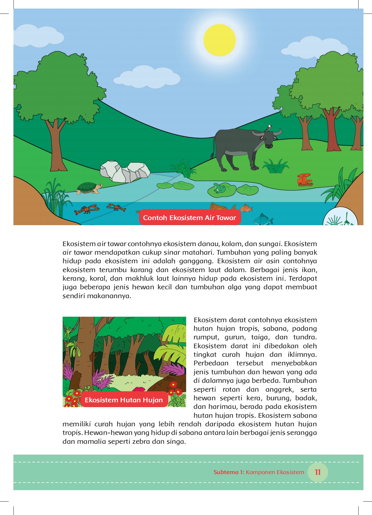 Kelas V Tema 5 Buku Siswa Ekosistem - SD Negeri Tanjunganom - Halaman 17 | PDF Online | PubHTML5