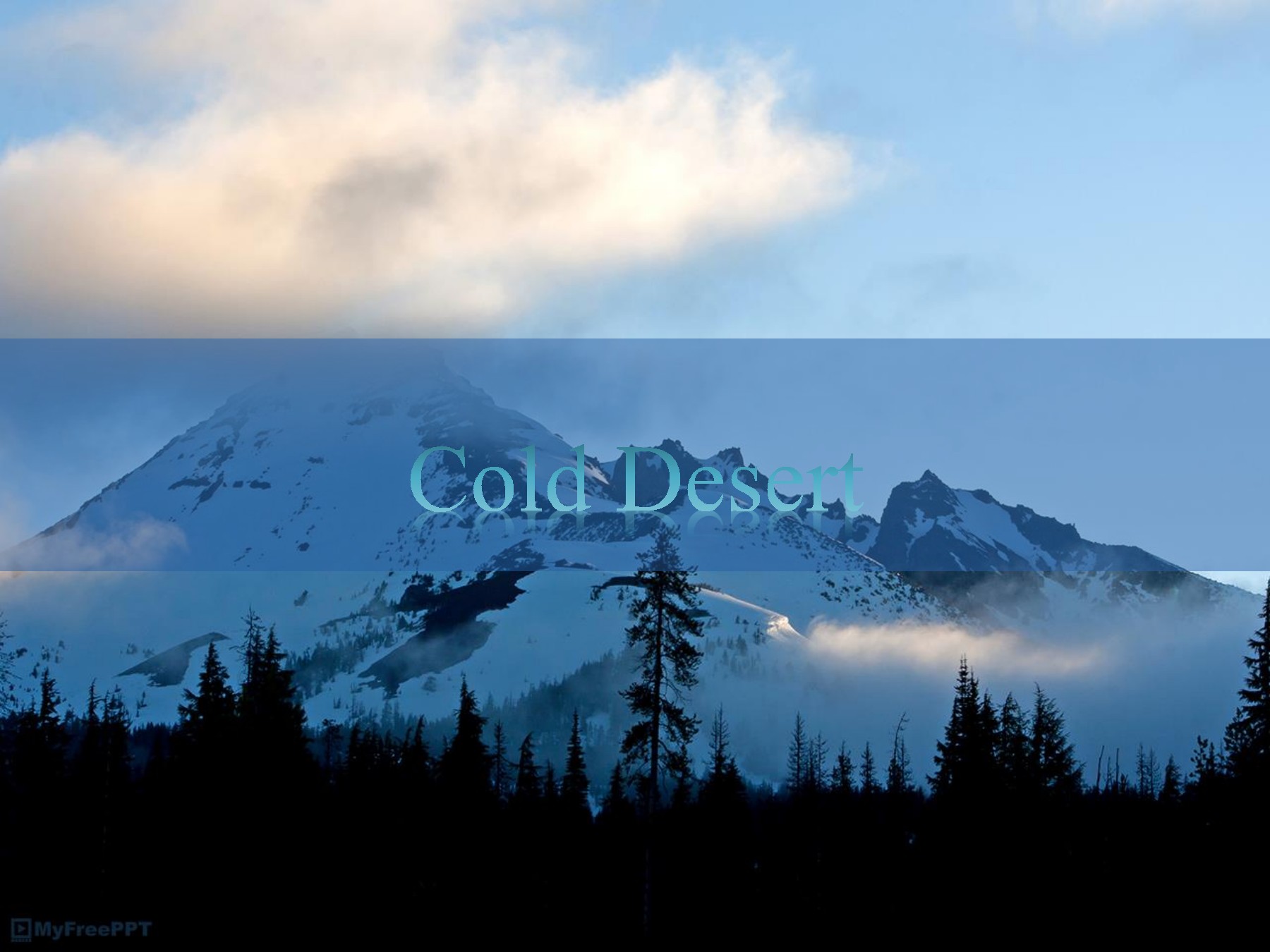 Presentation2 - 7446a - Page 1 - 12 | Flip PDF Online | PubHTML5