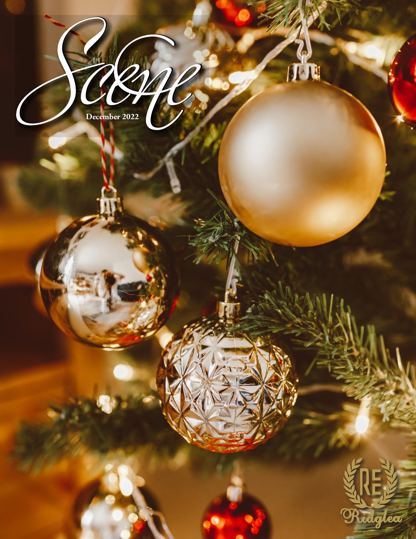 RCC December 2022 Newsletter - rick yager - Page 1 - 16 | Flip PDF Online | PubHTML5