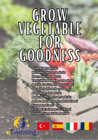 grow vegetable for goodness