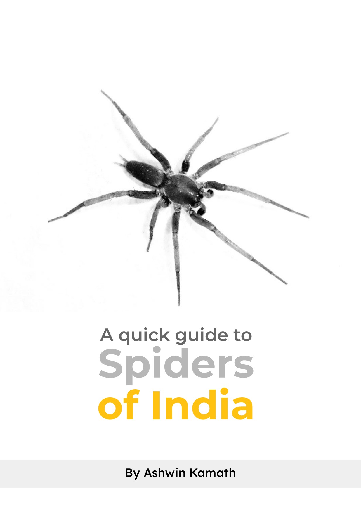 Spiders of India - ashwinkamath37 - Page 1 - 56 | Flip PDF Online ...