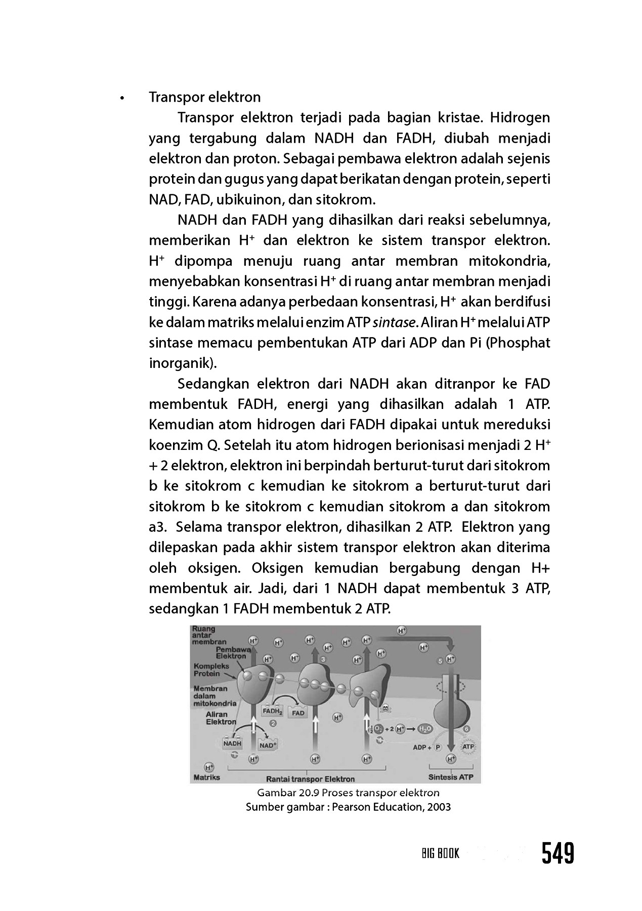 Buku Biologi SMA - Ma'in Mustafid - Halaman 558 | PDF Online | PubHTML5