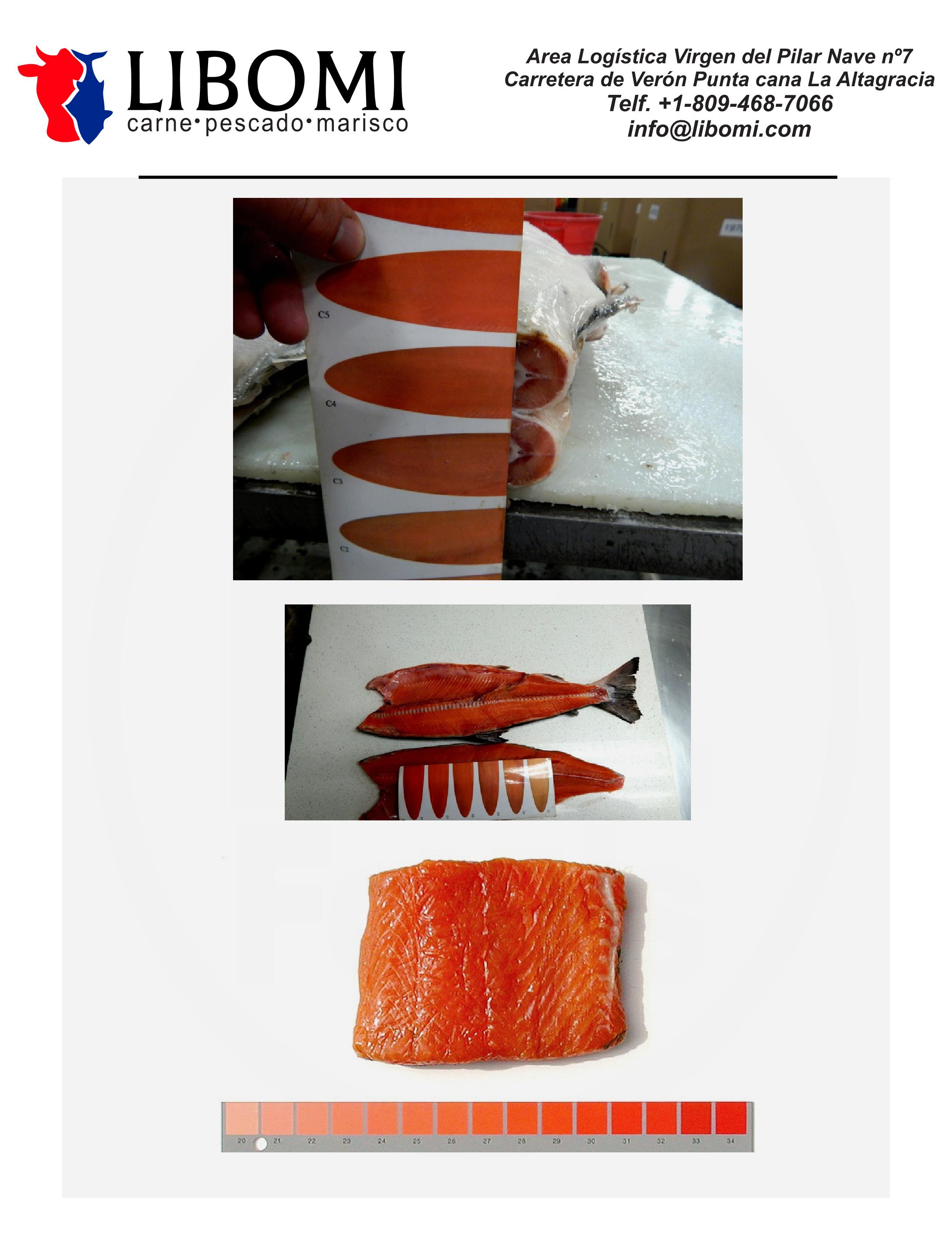 catalogo libomi web - manel.solar - Página 80 | Flip PDF en línea ...