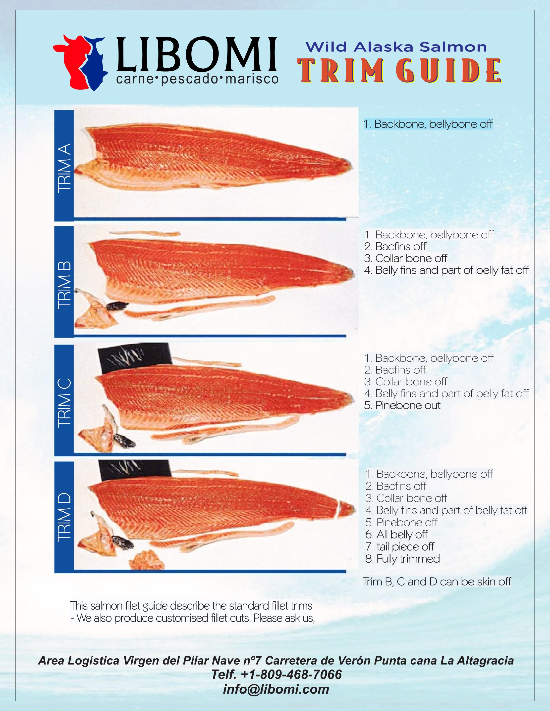 catalogo libomi web - manel.solar - Página 81 | Flip PDF en línea ...