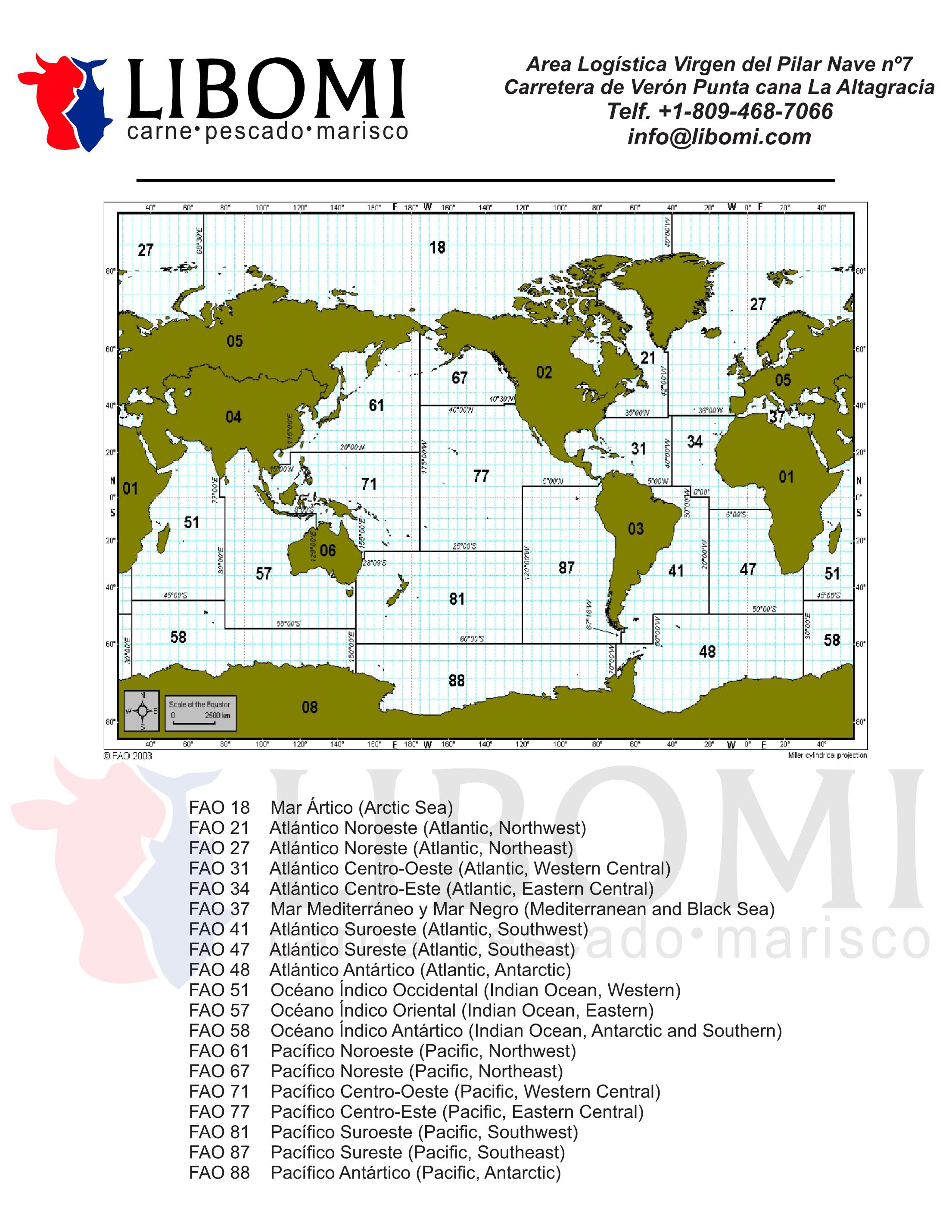 catalogo libomi web - manel.solar - Página 82 | Flip PDF en línea ...