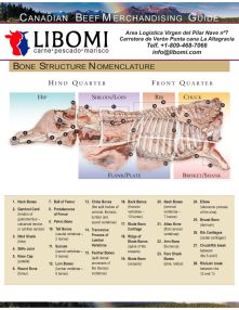 catalogo libomi web - manel.solar - Página 23 | Flip PDF en línea ...